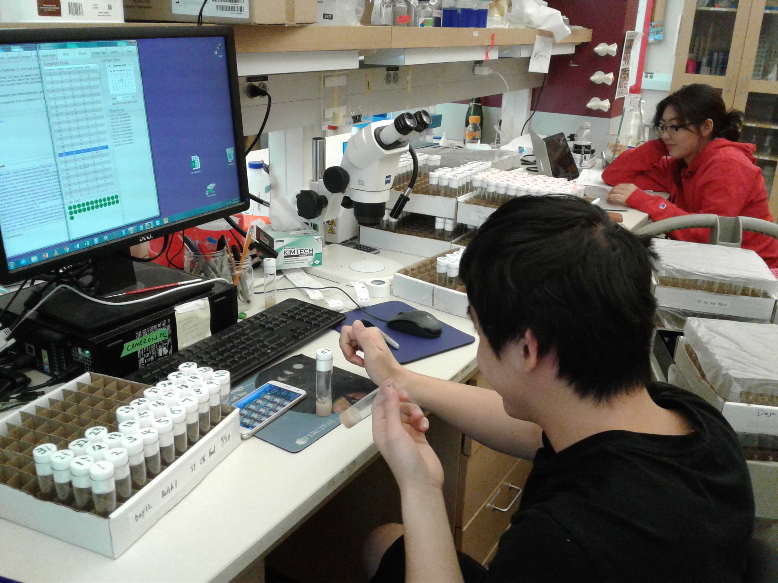 Contact / Join Us – Promislow Lab